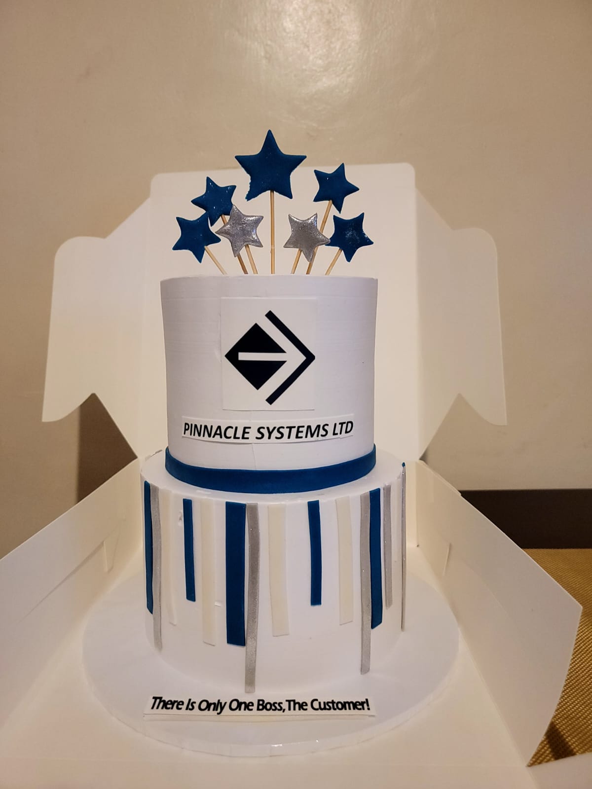 Pinnacle Systems Ltd