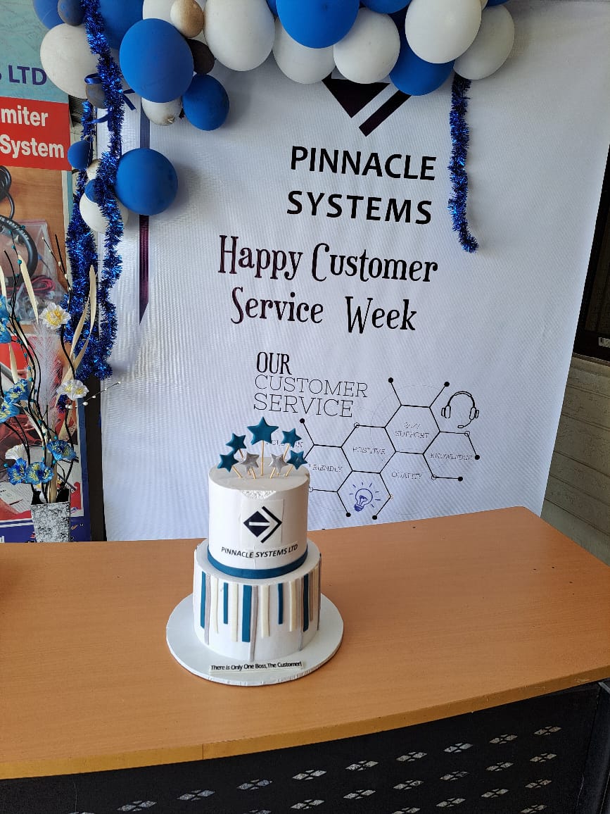 Pinnacle Systems Ltd